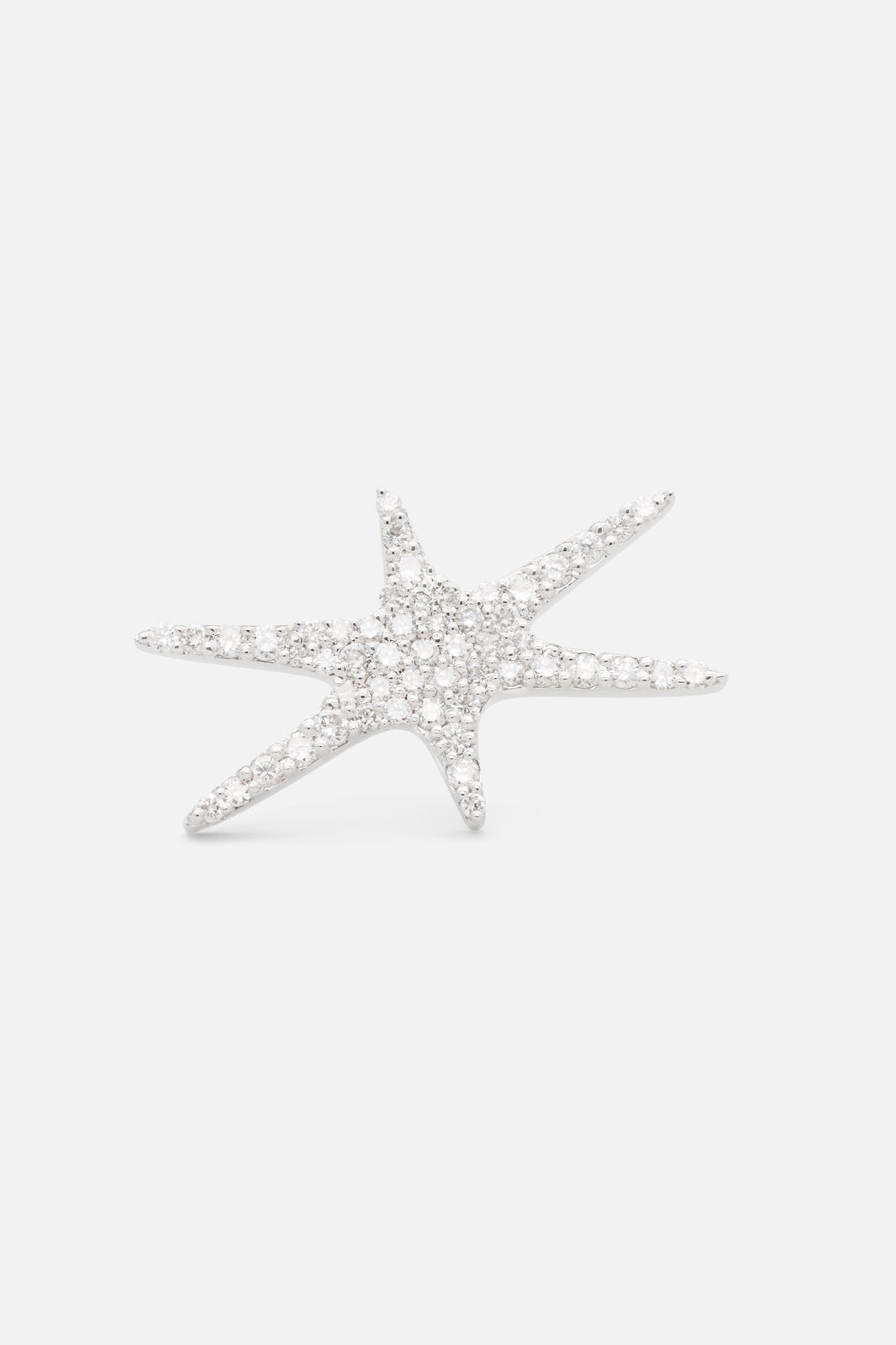 Earrings – Lloyd Steven